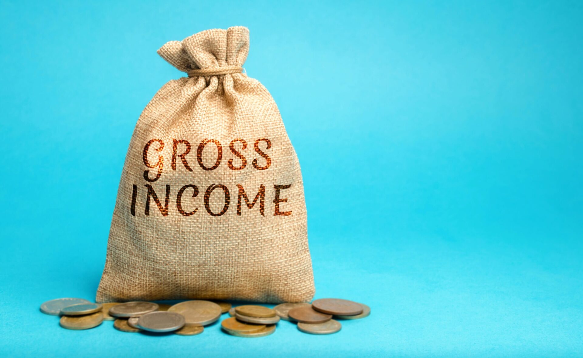 The Difference Between Gross Margin And Profit Margin Vertical CPA